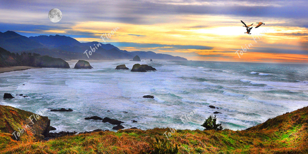 The Coast – TOBIN FLOOM PHOTOGRAPHY