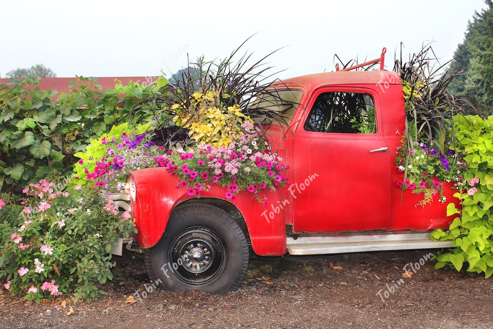 SAUVIES RED TRUCK – TOBIN FLOOM PHOTOGRAPHY