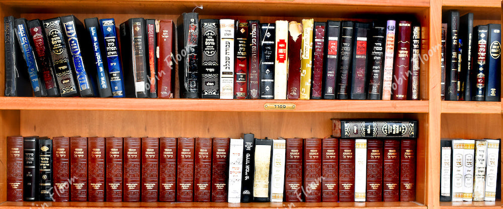 Israel: Bookshelf – TOBIN FLOOM PHOTOGRAPHY