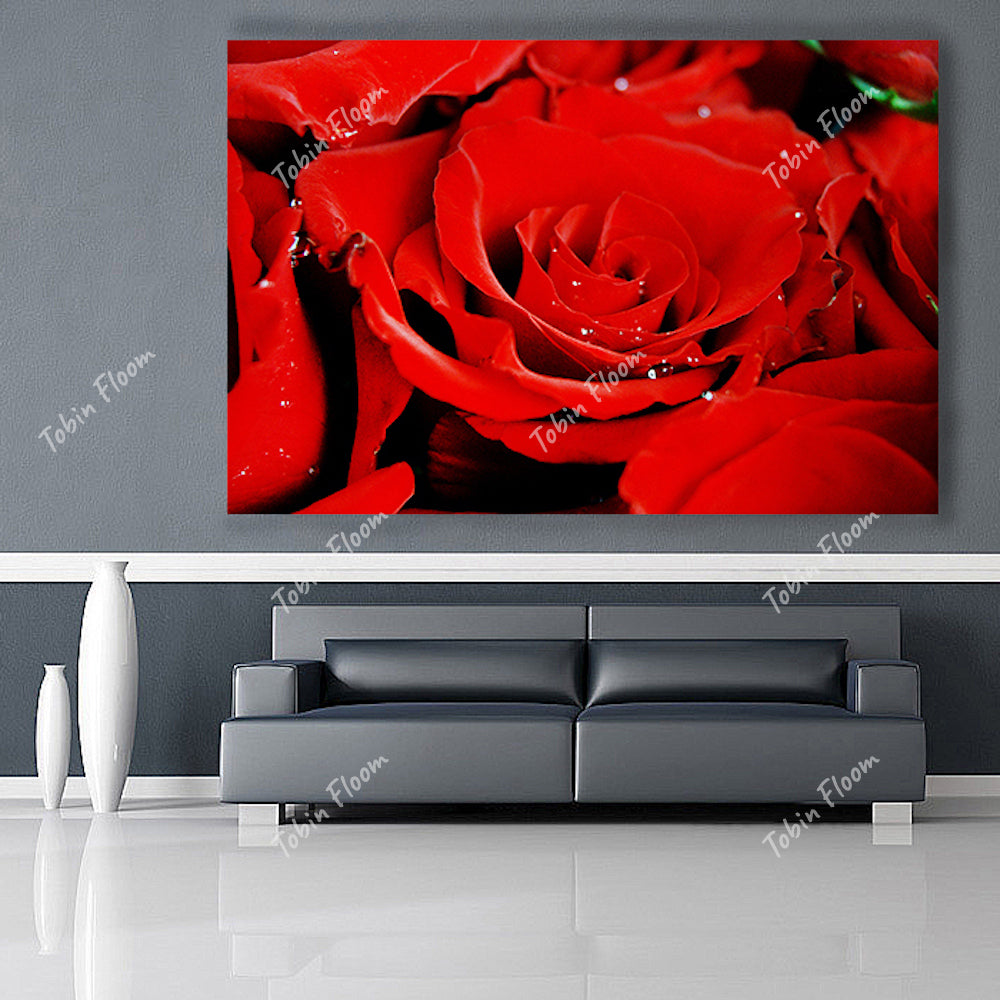Rose install – TOBIN FLOOM PHOTOGRAPHY